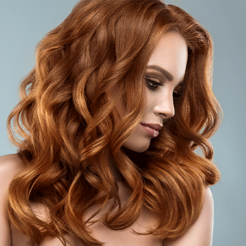 The Hair Lab - COLOR